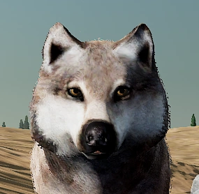 Wolves of the Mollies Pack | WolfQuest Wiki | Fandom