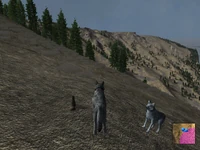 Achievements (Classic): Triggers | WolfQuest Wiki | Fandom