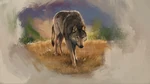 Steam Assets | WolfQuest Wiki | Fandom