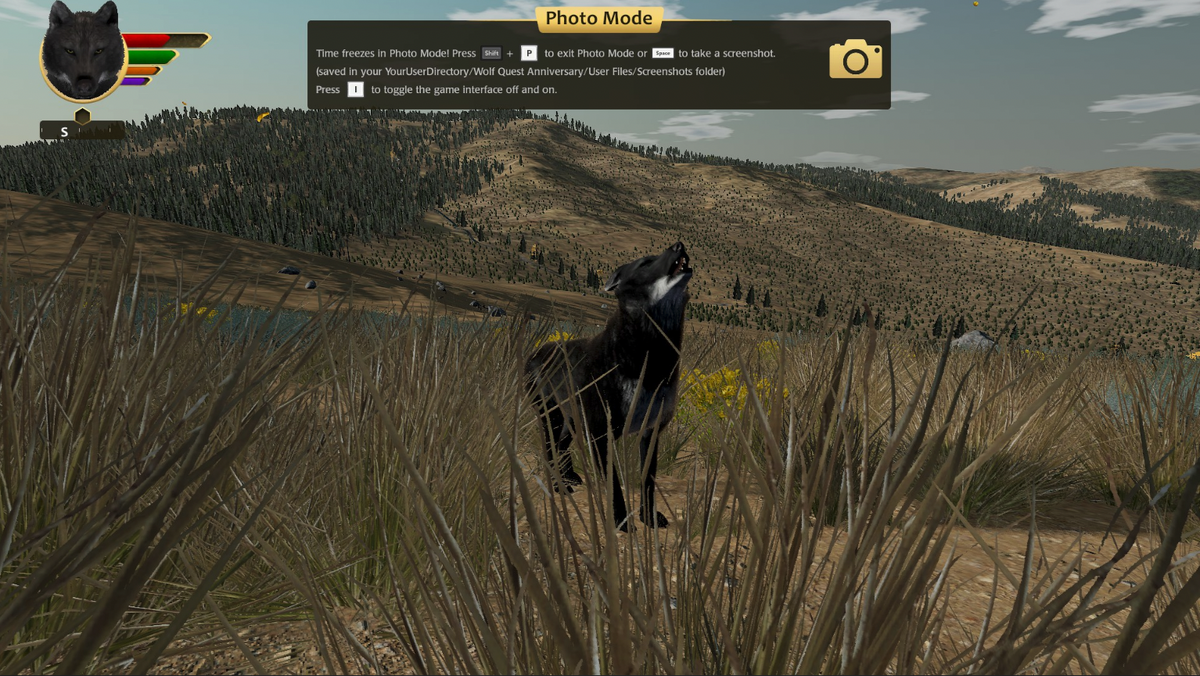 Photo Mode | WolfQuest Wiki | Fandom
