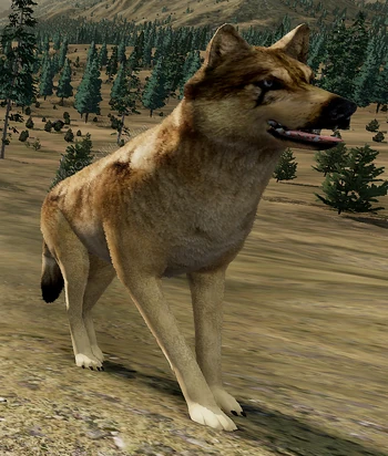 Wolves of the Van Winkle Pack | WolfQuest Wiki | Fandom