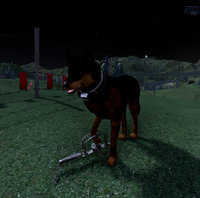 Cattle ranch | WolfQuest Wiki | Fandom