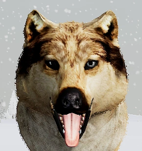 Wolves of the Mollies Pack | WolfQuest Wiki | Fandom