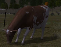 Cattle ranch | WolfQuest Wiki | Fandom