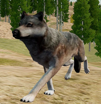 Wolves of the Elevation Pack | WolfQuest Wiki | Fandom
