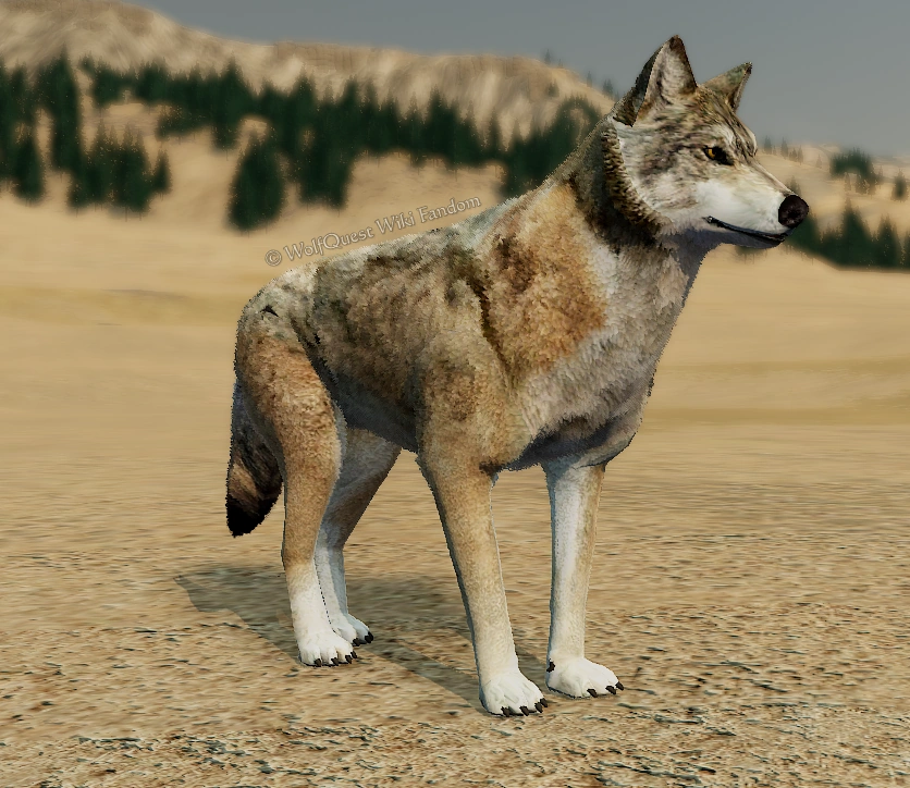 Classic Coats | WolfQuest Wiki | Fandom
