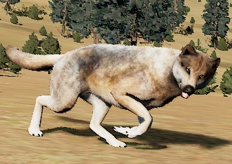 Wolves of the Van Winkle Pack | WolfQuest Wiki | Fandom