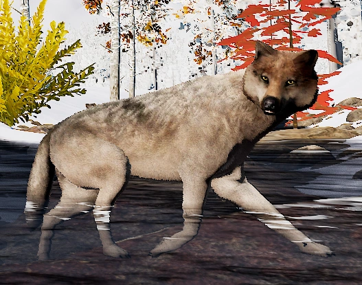 Category:Wolf packs | WolfQuest Wiki | Fandom