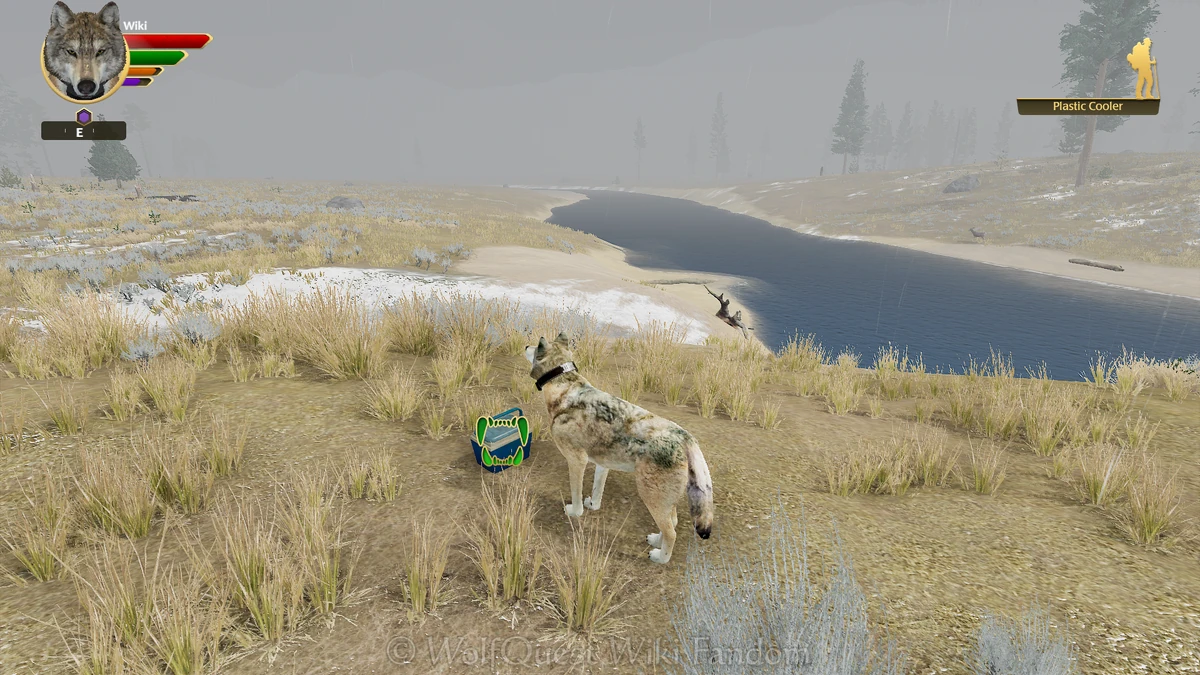 Plastic Cooler | WolfQuest Wiki | Fandom