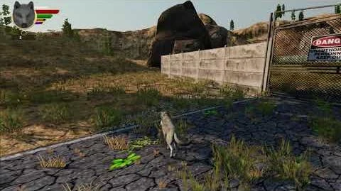 Floppy/Guides | WolfQuest Wiki | Fandom