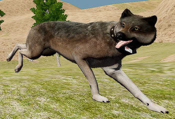 Wolves of the Elevation Pack | WolfQuest Wiki | Fandom