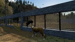Floppy | WolfQuest Wiki | Fandom