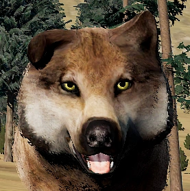 Wolves of the Van Winkle Pack | WolfQuest Wiki | Fandom