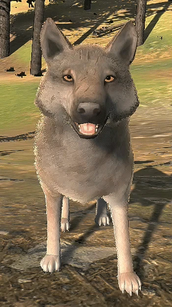 Teasers | WolfQuest Wiki | Fandom