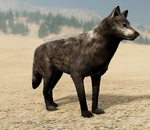 Gray wolf pup/Coats | WolfQuest Wiki | Fandom