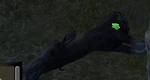 Floppy | WolfQuest Wiki | Fandom