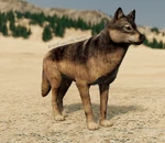 Founders Coats | WolfQuest Wiki | Fandom