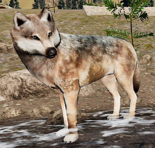 Wolves of the Templeton Pack | WolfQuest Wiki | Fandom