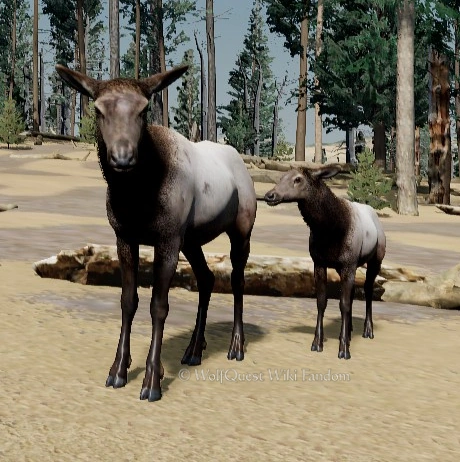 Yearlings | WolfQuest Wiki | Fandom
