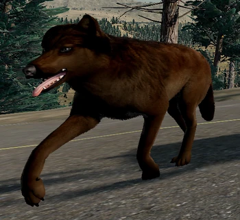 Wolves of the Lucky Pack | WolfQuest Wiki | Fandom