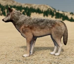 Blacktail Deer Plateau Coats | WolfQuest Wiki | Fandom