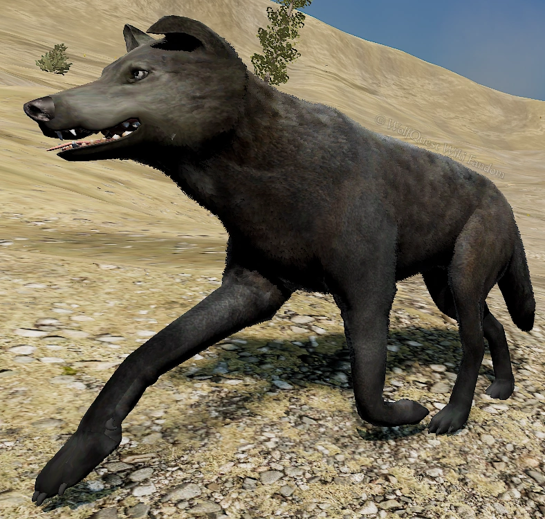 Category:Wolf packs | WolfQuest Wiki | Fandom