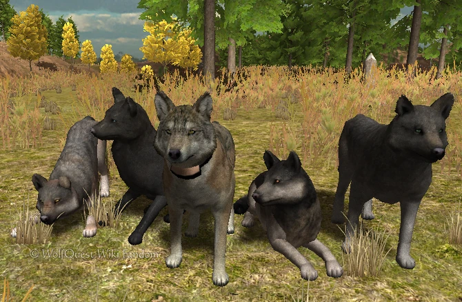 WolfQuest Wiki | Fandom