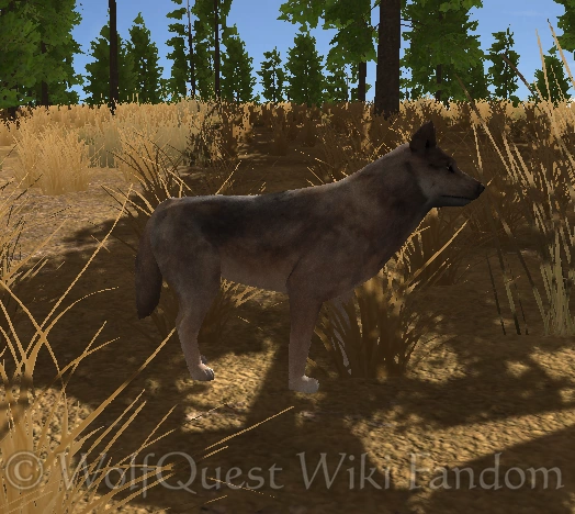 Druid Pack | WolfQuest Wiki | Fandom