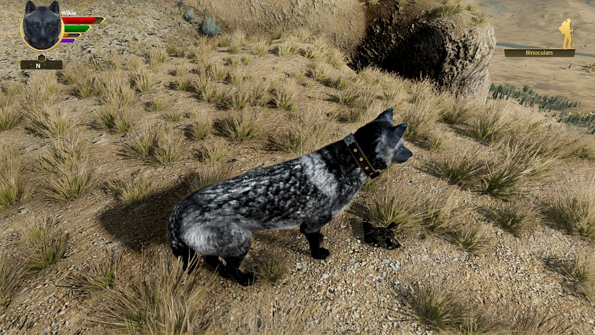 Binoculars | WolfQuest Wiki | Fandom