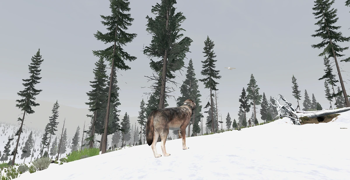 Airplane | WolfQuest Wiki | Fandom