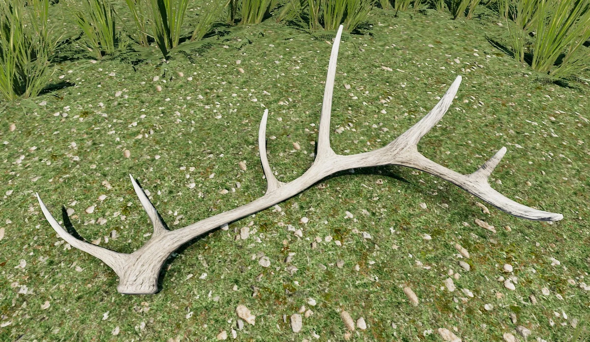 Elk Antler | WolfQuest Wiki | Fandom