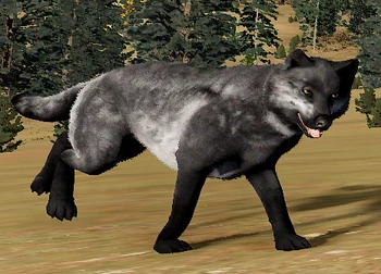 Wolves of the Van Winkle Pack | WolfQuest Wiki | Fandom