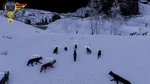 Excursions | WolfQuest Wiki | Fandom