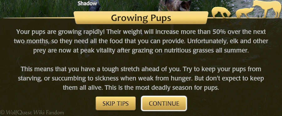 Growing Pups | WolfQuest Wiki | Fandom