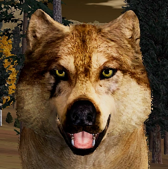 Wolves of the Van Winkle Pack | WolfQuest Wiki | Fandom