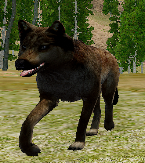 Wolves of the Lost River Pack | WolfQuest Wiki | Fandom