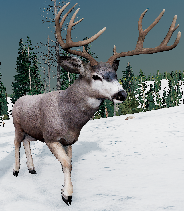 Mule deer | WolfQuest Wiki | Fandom