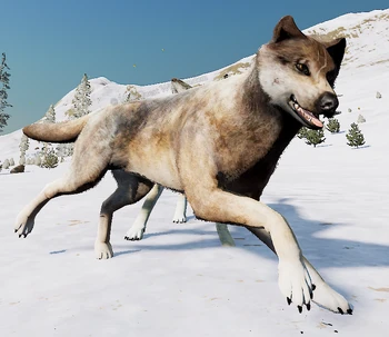 Wolves of the Van Winkle Pack | WolfQuest Wiki | Fandom
