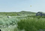 Airplane | WolfQuest Wiki | Fandom