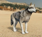 Unlockable Coats | WolfQuest Wiki | Fandom