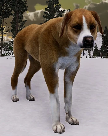 Carmella | WolfQuest Wiki | Fandom