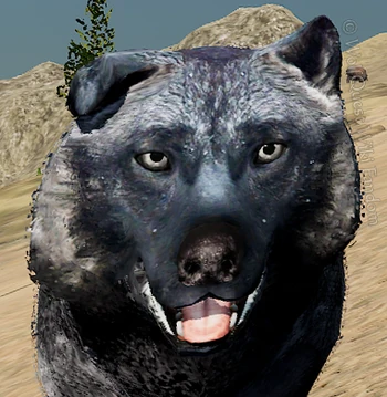 Wolves of the Lost River Pack | WolfQuest Wiki | Fandom