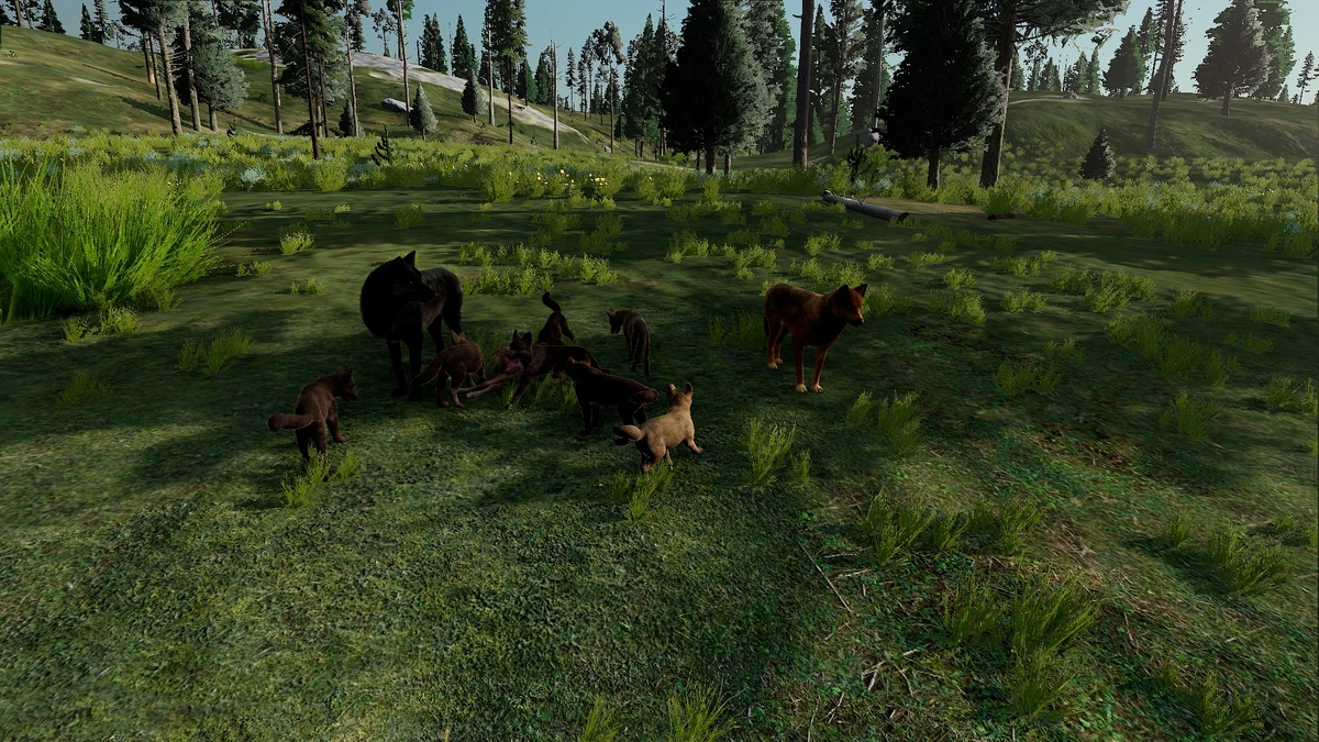 Genetics | WolfQuest Wiki | Fandom