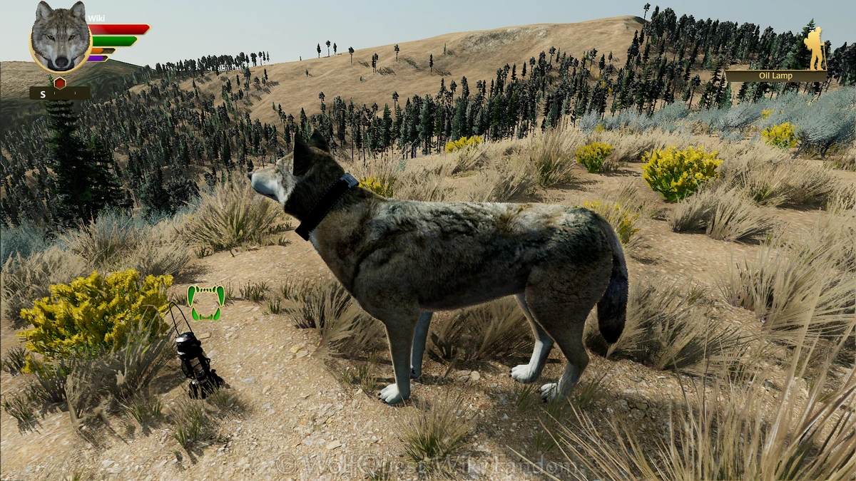 Oil Lamp | WolfQuest Wiki | Fandom