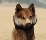 Lamar Canyon Coats | WolfQuest Wiki | Fandom