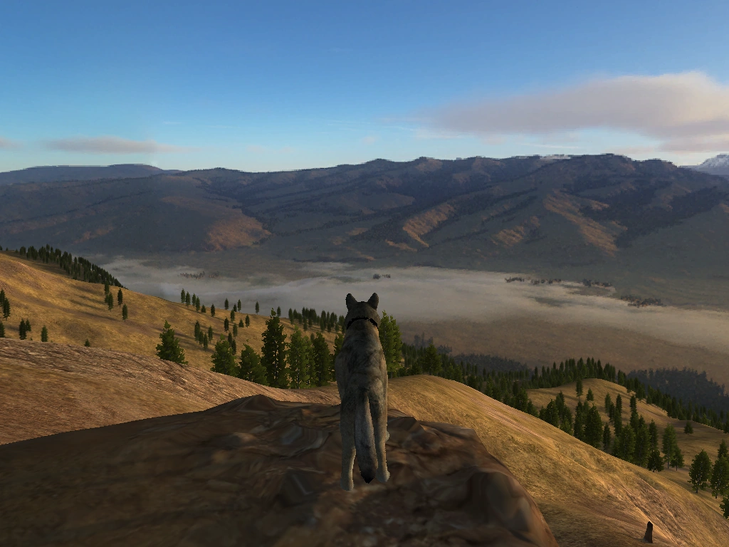 Skybox | WolfQuest Wiki | Fandom