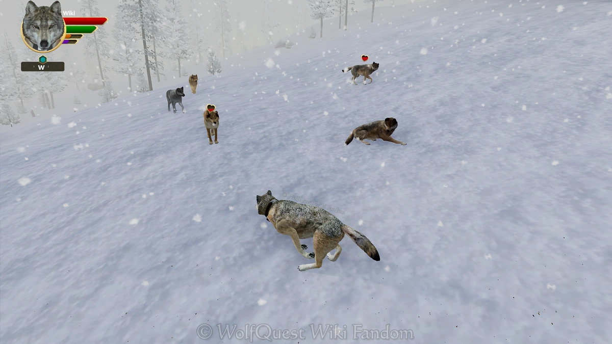 Stranger wolf pack | WolfQuest Wiki | Fandom