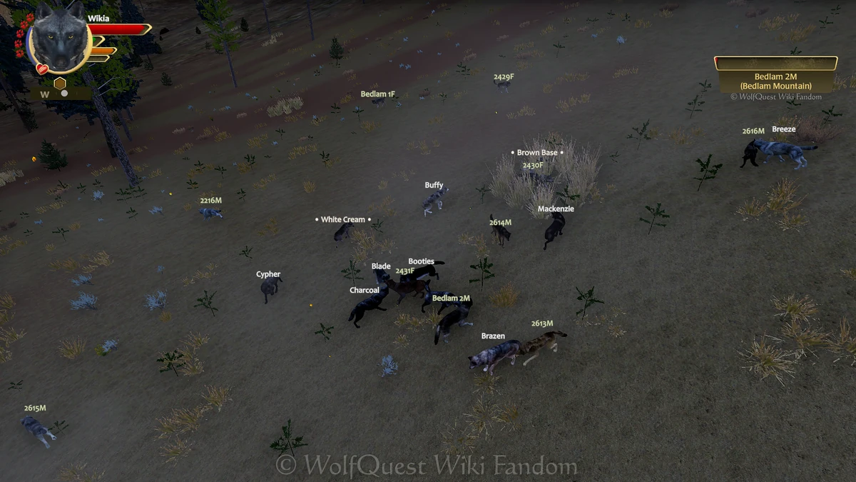 Conflict | WolfQuest Wiki | Fandom