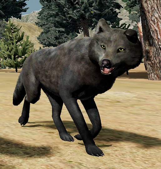 Wolves of the Van Winkle Pack | WolfQuest Wiki | Fandom