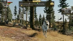 Dispersal wolf | WolfQuest Wiki | Fandom